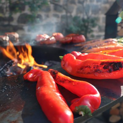 Plancha Fire Pit
